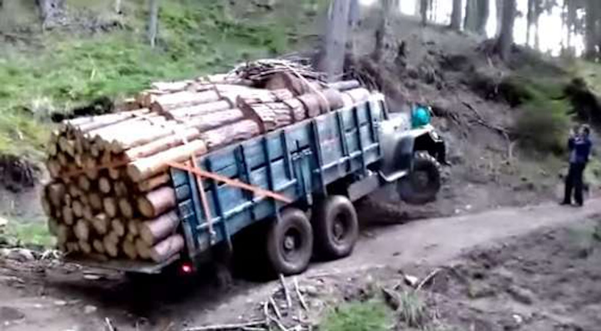 You decide: Too many logs or not enough truck? | Truckers News