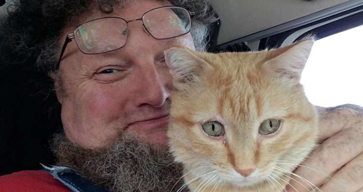 Truck driver's cat survives 400 long miles under his truck | Truckers News