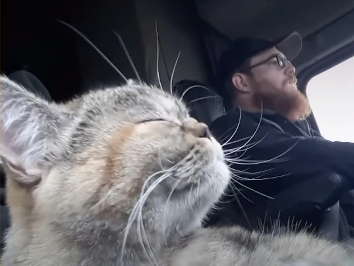 Cat makes trucking easier and more fun for driver | Truckers News
